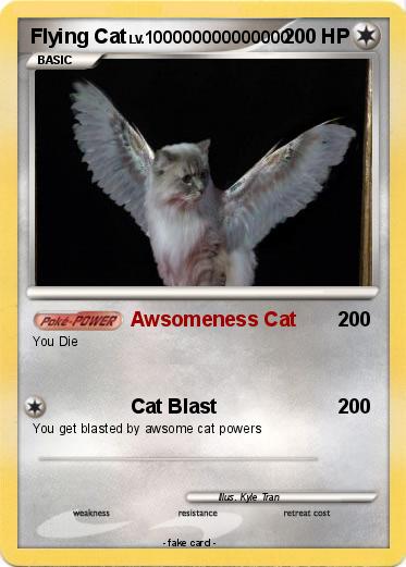 Pokémon Flying Cat 16 16 - Awsomeness Cat - My Pokemon Card