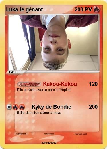Pokémon Luka le genant - Kakou-Kakou - Ma carte Pokémon