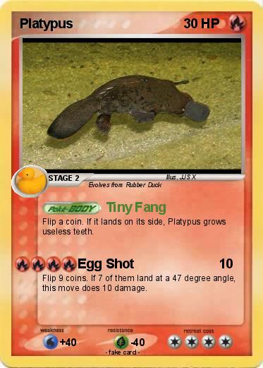 Pokémon Platypus 12 12 - Tiny Fang - My Pokemon Card