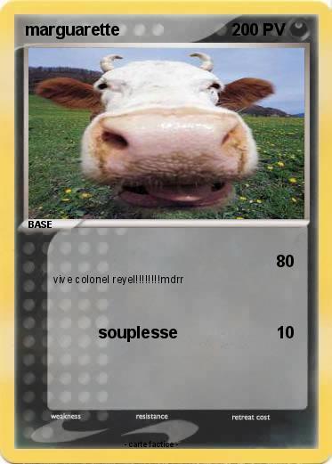 Pokémon marguarette - souplesse - Ma carte Pokémon