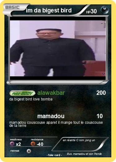 Pokémon im da bigest bird - alawakbar - My Pokemon Card