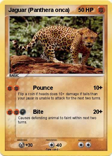 Pokémon Jaguar Panthera onca 1 1 - Pounce - My Pokemon Card
