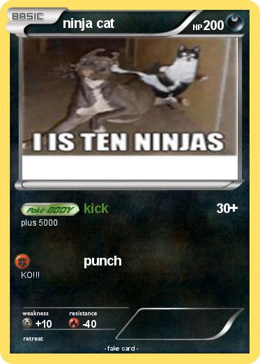 Pokémon ninja cat 169 169 - kick - My Pokemon Card