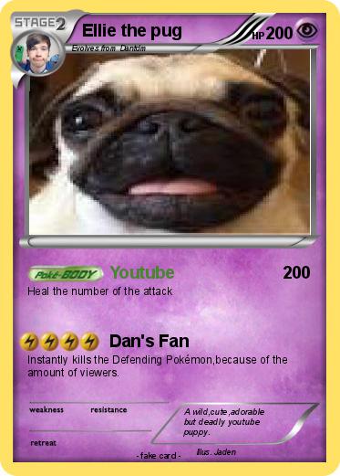 Pokémon Ellie the pug 2 2 - Youtube - My Pokemon Card