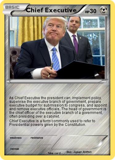 Pokémon Chief Executive - My Pokemon Card