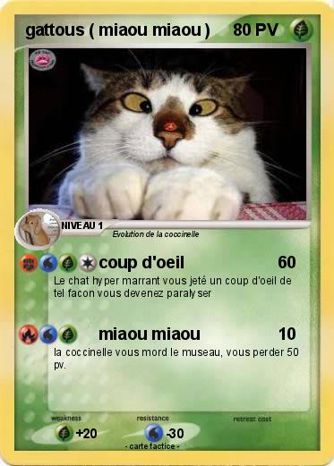 Pokémon gattous miaou miaou - coup d'oeil - Ma carte Pokémon