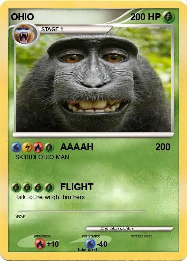 Pokémon OHIO 408 408 - AAAAH - My Pokemon Card