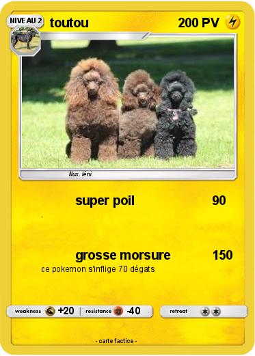 Pokémon toutou 109 109 - super poil - Ma carte Pokémon