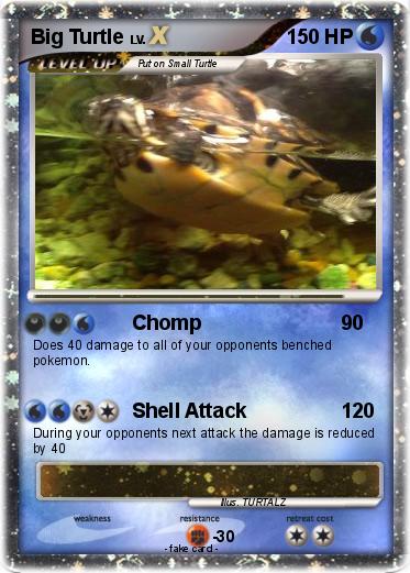 Pokémon Big Turtle 3 3 - Chomp - My Pokemon Card
