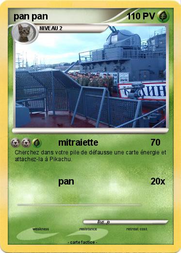 Pokémon pan pan 17 17 - mitraiette - Ma carte Pokémon