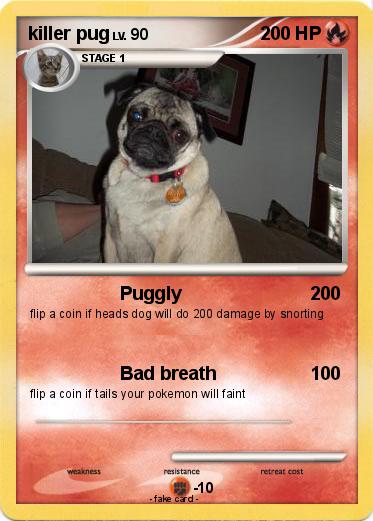 Pokémon killer pug 1 1 - Puggly - My Pokemon Card