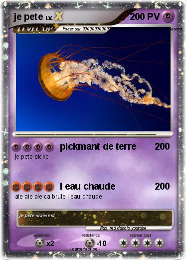 Pokémon je pete 4 4 - pickmant de terre - Ma carte Pokémon