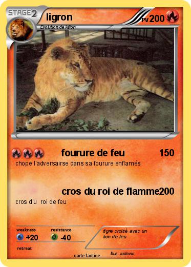 Pokémon ligron - fourure de feu - Ma carte Pokémon