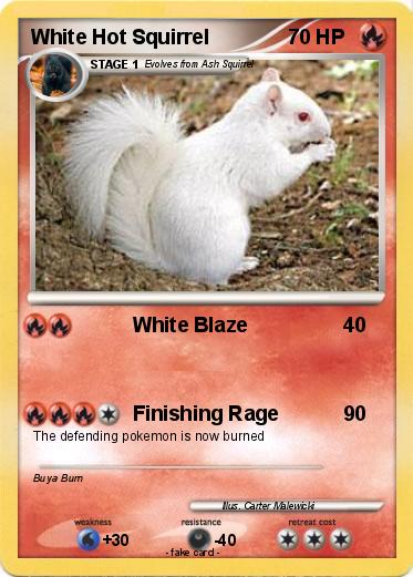 Pokémon White Hot Squirrel - White Blaze - My Pokemon Card