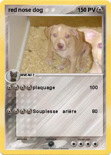 Pokémon red nose dog - plaquage 100 - Ma carte Pokémon