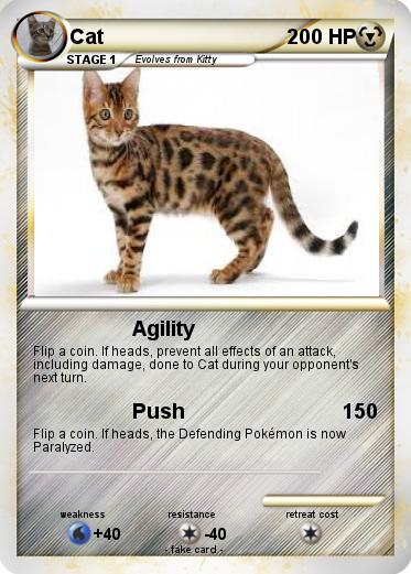 Pokémon Cat 3411 3411 - Agility - My Pokemon Card