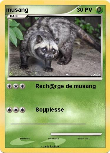 Pokémon musang 3 3 - Rech@rge de musang - Ma carte Pokémon