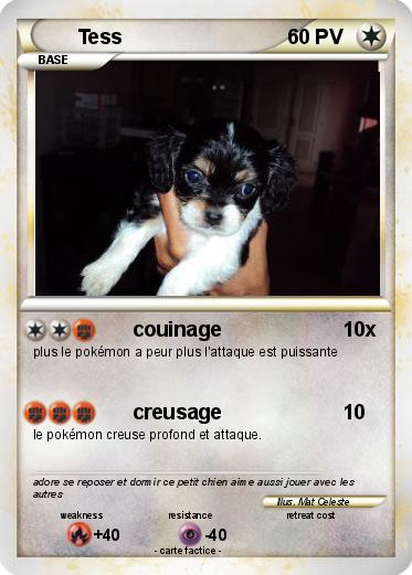 Pokémon Tess 20 20 - couinage - Ma carte Pokémon