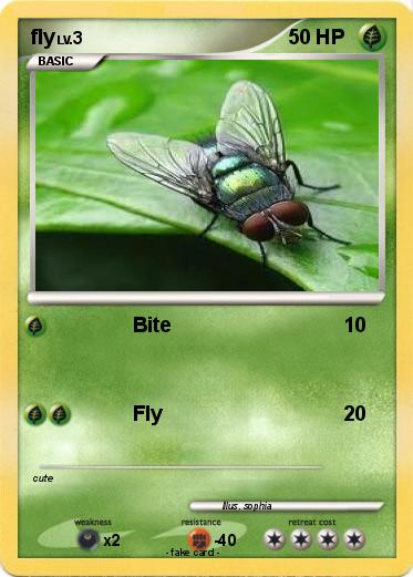 Pokémon fly 97 97 - Bite - My Pokemon Card