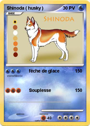 Pokémon Shinoda husky - fèche de glace - Ma carte Pokémon
