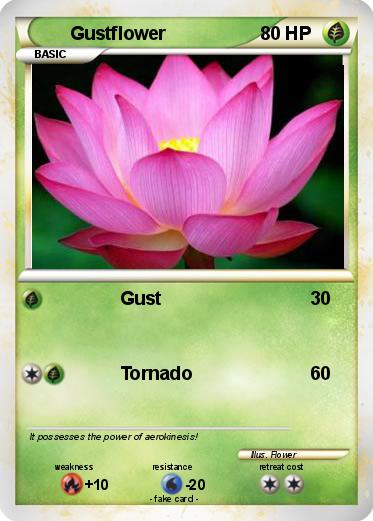 Pokémon Gustflower - Gust - My Pokemon Card