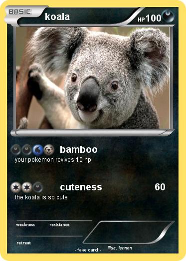 Pokémon koala 1800 1800 - bamboo - My Pokemon Card