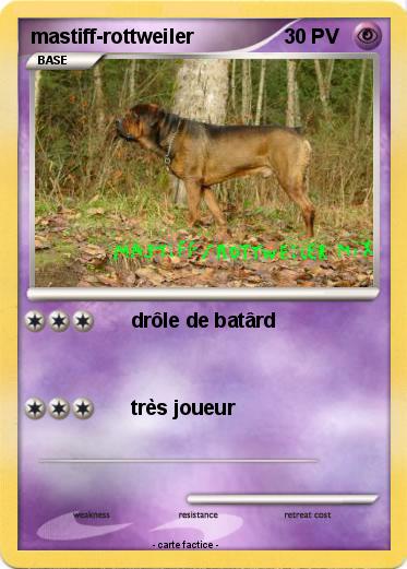 Pokémon mastiff rottweiler 4 4 - drôle de batârd - Ma carte Pokémon