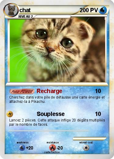 Pokémon chat 4722 4722 - Recharge - Ma carte Pokémon