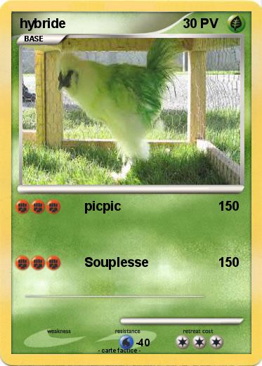 Pokémon hybride 5 5 - picpic - Ma carte Pokémon