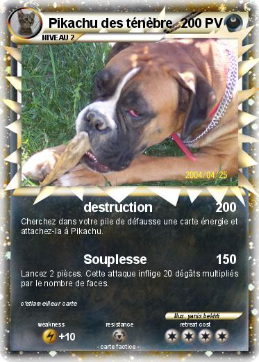 Pokémon Pikachu des tenebre - destruction - Ma carte Pokémon