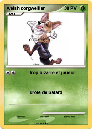 Pokémon welsh corgweiller - trop bizarre et joueur - Ma carte Pokémon