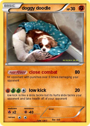 Pokémon doggy doodle - close combat - My Pokemon Card
