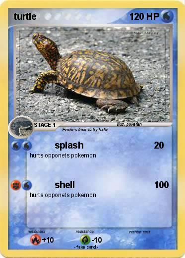 Pokémon turtle 443 443 - splash - My Pokemon Card