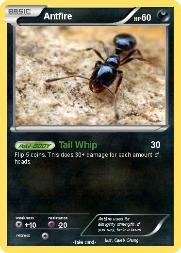 Pokémon Antfire - Tail Whip - My Pokemon Card