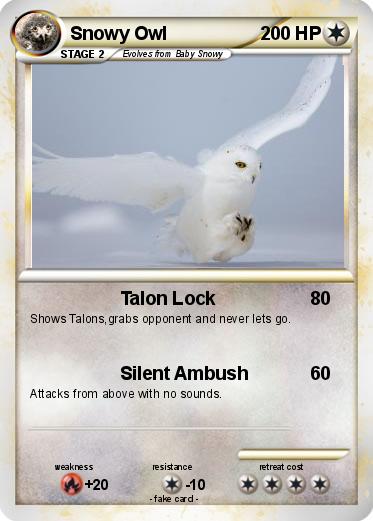 Pokémon Snowy Owl 3 3 - Talon Lock - My Pokemon Card