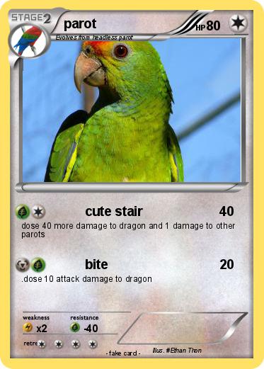 Pokémon parot 3 3 - cute stair - My Pokemon Card