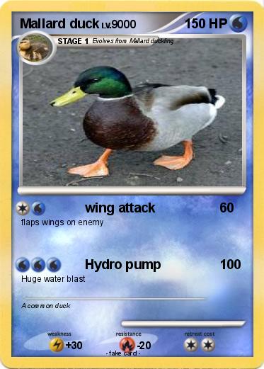 Pokémon Mallard duck - wing attack - My Pokemon Card
