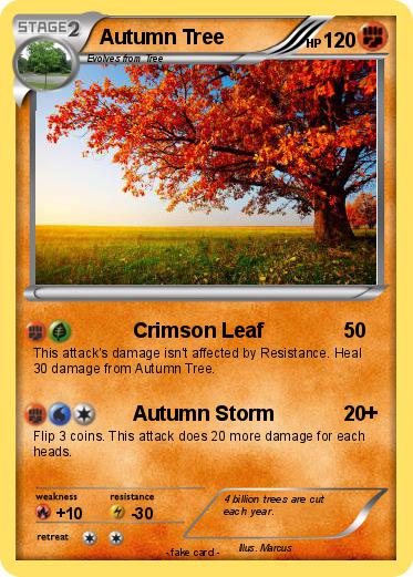 Pokémon Autumn Tree 2 2 - Crimson Leaf - My Pokemon Card