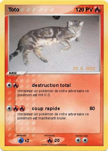 Pokémon Toto 49 49 - destruction total - Ma carte Pokémon