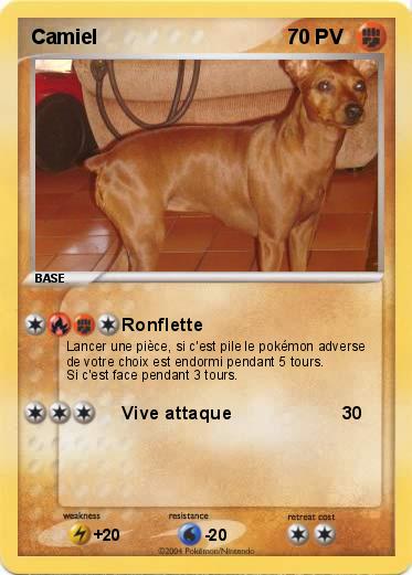 Pokémon Camiel - Ronflette - Ma carte Pokémon
