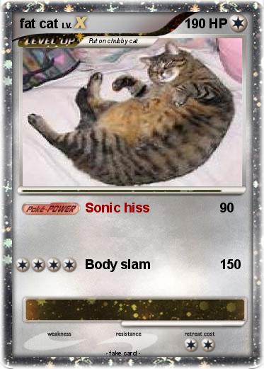 Pokémon fat cat 172 172 - Sonic hiss - My Pokemon Card