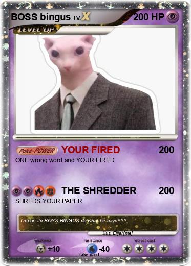 Pokémon BOSS bingus - YOUR FIRED - My Pokemon Card