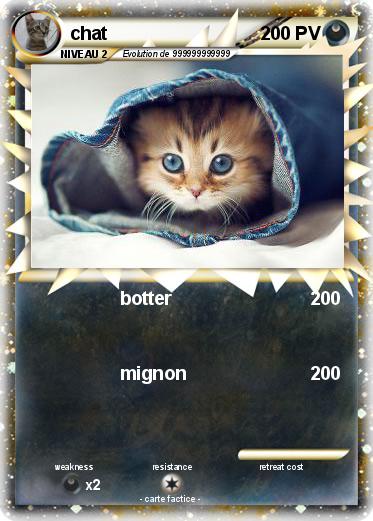 Pokémon chat 2923 2923 - botter - Ma carte Pokémon