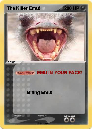 Pokémon The Killer Emu - EMU IN YOUR FACE! - My Pokemon Card