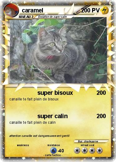 Pokémon caramel 97 97 - super bisoux - Ma carte Pokémon