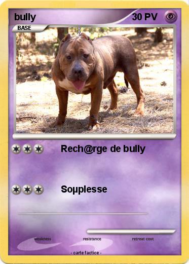 Pokémon bully 83 83 - Rech@rge de bully - Ma carte Pokémon