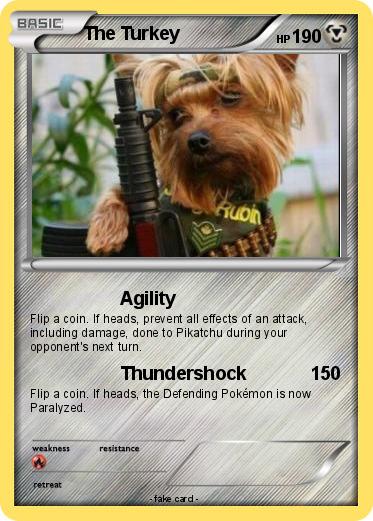 Pokémon The Turkey 1 1 - Agility - My Pokemon Card