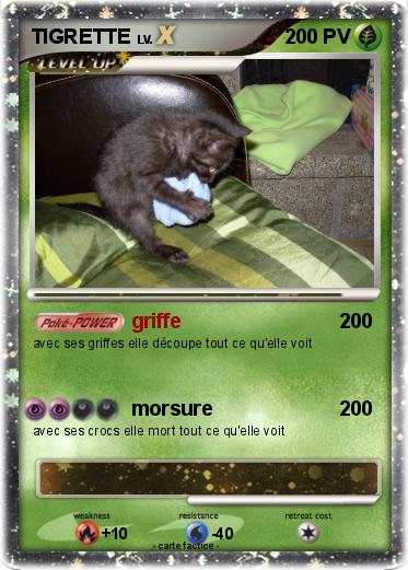Pokémon TIGRETTE 8 8 - griffe - Ma carte Pokémon