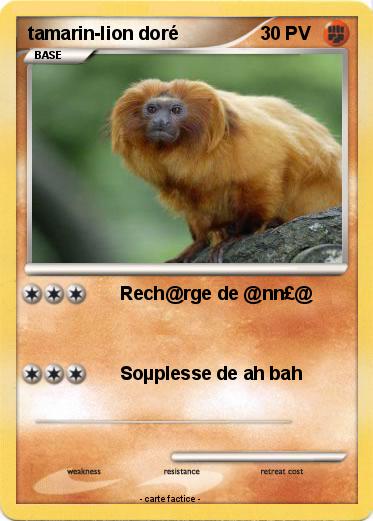 Pokémon tamarin lion dore 2 2 - Rech@rge de @nn£@ - Ma carte Pokémon