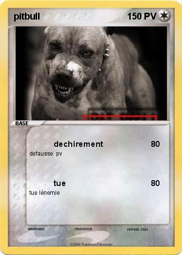 Pokémon pitbull 5 5 - dechirement - Ma carte Pokémon